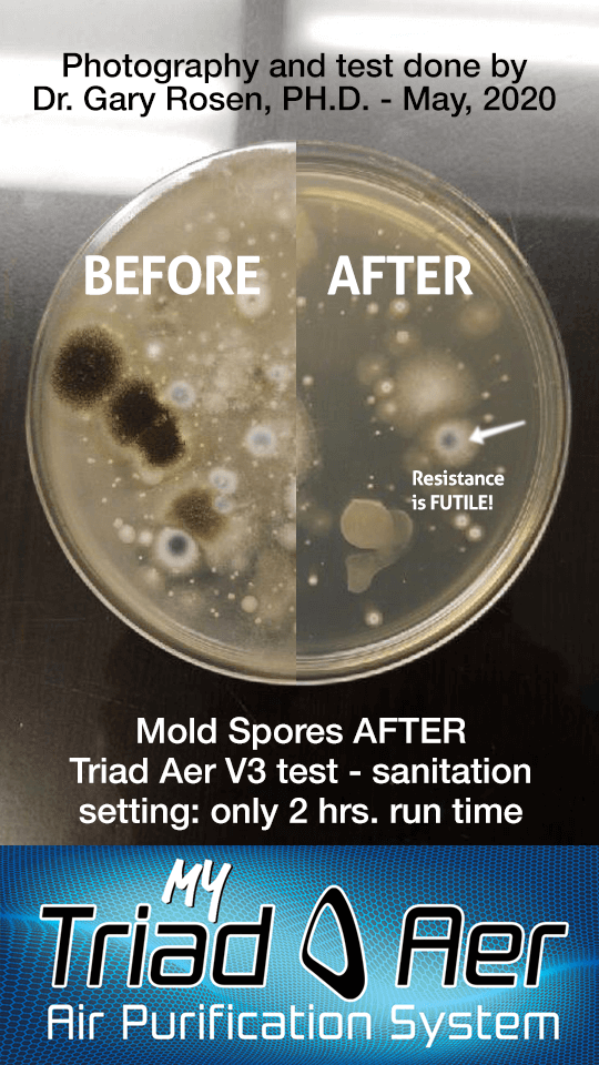 Indoor Air and Toxic Mold – indoorairfacts.com